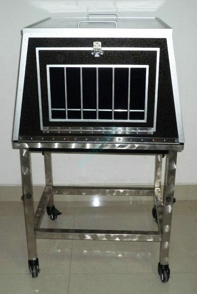 Gazzo Tossed Out Deck -- Close Up Magic, Card Magic, Magic Trick – Bemagic