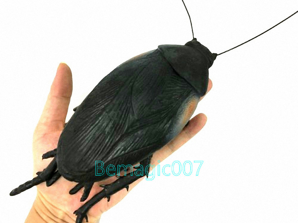 Jumbo Rubber Roach--MAGIC ACCESSORIES – Bemagic