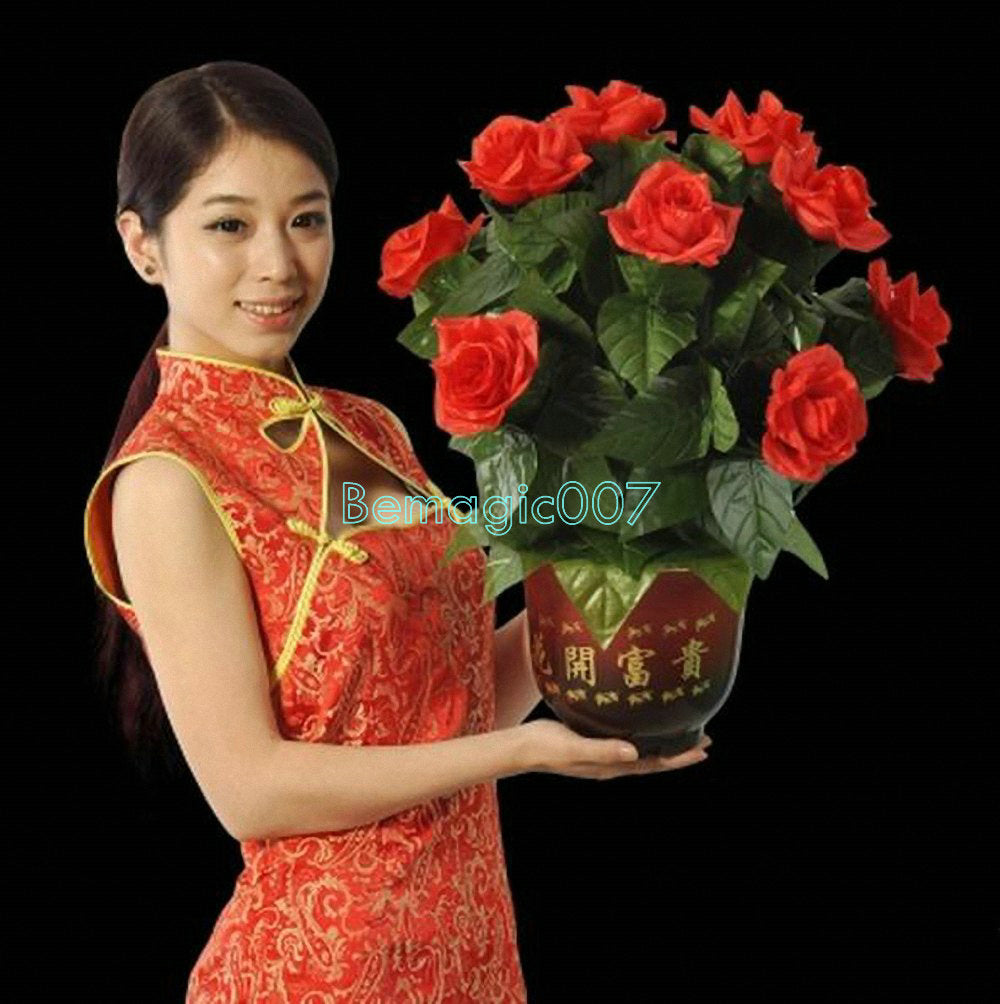 Remote-Control Blooming Flower Bush -- Stage Magic – Bemagic